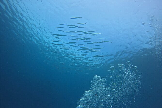 3 Days Phuket Open Water Diver Course & Scuba with License Guide - What Makes This Experience Stand Out