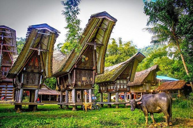 3 Days Tana Toraja from Makassar: Kete Kesu Village, Menhir to Funeral Burial - In-Depth Look at the Itinerary and Highlights