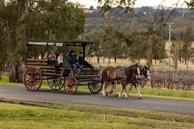 3- Hour Wine and Harvest the Hunter Horse Tour in Pokolbin - Final Thoughts: Is It Worth It?