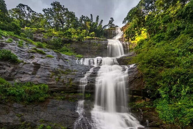 3 Nights Private Kerala Premium Package by Sanguine Holidays - Final Thoughts: Who Is This Tour Best For?