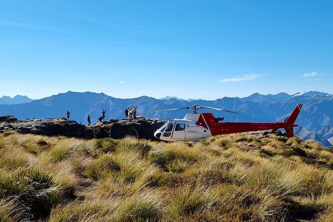 35-Minute Alpine Scenic Flight from Queenstown - What Travelers Say