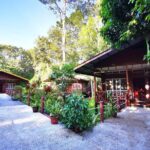 3D2N Sukau Wildlife Experience - What’s Included and What’s Not