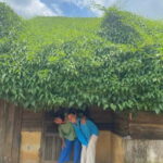 3D2N Tour - From Ho Chi Minh City to Bao Loc City - What Makes This Tour a Great Choice?