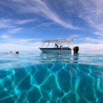 3h dolphin and snorkeling tour in a wild lagoon with Mobydick - Final Thoughts