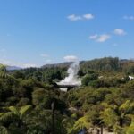 4-Day Auckland to Wellington via Rotorua Tour - Accommodation and Meals