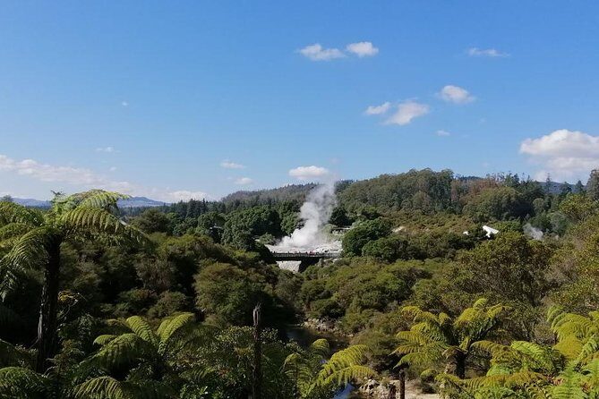 4-Day Auckland to Wellington via Rotorua Tour - Accommodation and Meals