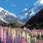 4-Day Great Southern Island Circle Tour from Christchurch - Transportation and accommodations