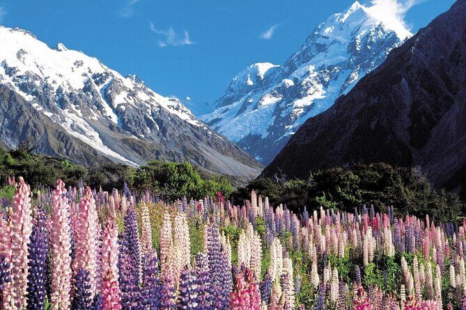 4-Day Great Southern Island Circle Tour from Christchurch - Transportation and accommodations