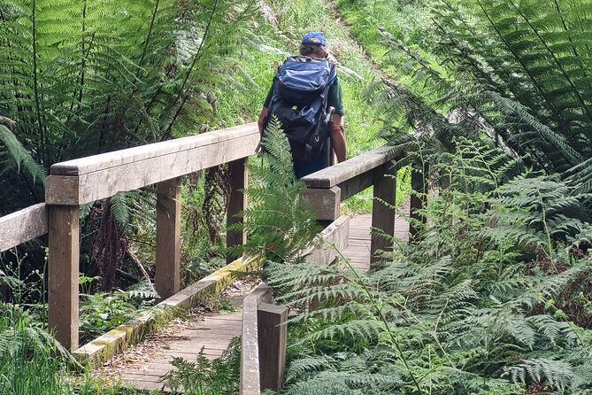 4 Day Mornington Peninsula Treks - The Practicalities: What to Expect