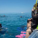 4-Day PADI Open Water Dive Course - Learn to Dive on the Great Barrier Reef - What Travelers Say: Authentic Insights
