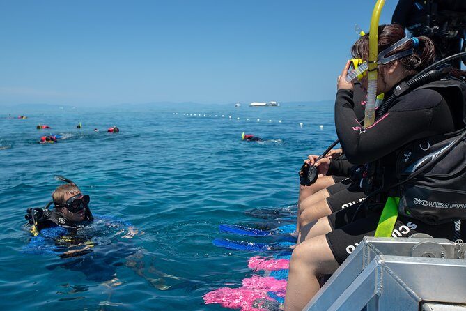 4-Day PADI Open Water Dive Course - Learn to Dive on the Great Barrier Reef - What Travelers Say: Authentic Insights