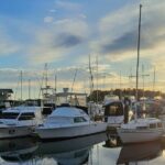4-Day Private Coastal Escape from Sydney to Mid North Coast - The Experience: Comfort, Flexibility, and Authenticity