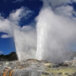 4-Day Wellington to Auckland via Rotorua Tour - The Value of this Tour