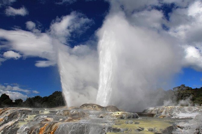 4-Day Wellington to Auckland via Rotorua Tour - The Value of this Tour