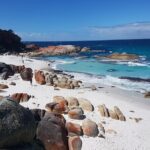4 Day Wild Tasmania Tour / Wildlife, Nature, Hiking / Inc. Accom - What Makes This Tour Stand Out for Travelers
