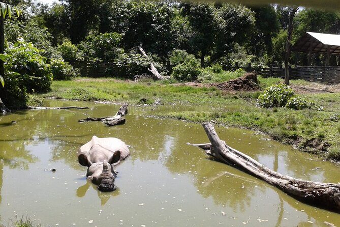 4 Days Bardia National Park Tour - Why This Tour Offers Great Value