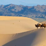 4 Days Central Mongolia-Amazing experiece - What’s Included and What to Expect