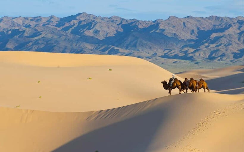 4 Days Central Mongolia-Amazing experiece - What’s Included and What to Expect