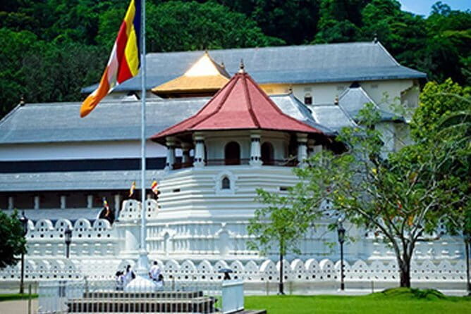 4 Days Kandy Nuwara Eliya - Authentic Experiences and Traveler Feedback