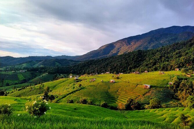 4 EXPERIENCES DAY TRIP. Sticky waterfalls, Elephants, Wat &Market - Frequently Asked Questions