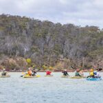 4 Hour Aboriginal Culture Tour Kayaking Pambula River - Practical Tips for Before You Go