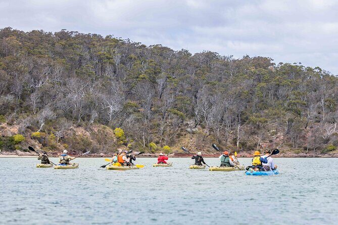 4 Hour Aboriginal Culture Tour Kayaking Pambula River - Practical Tips for Before You Go