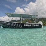 4 Hour Private Humpback Whales Encounter in Moorea - Who Should Consider This Tour?