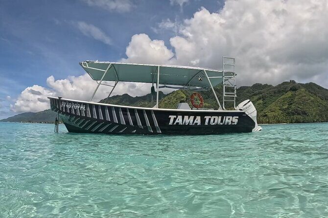 4 Hour Private Humpback Whales Encounter in Moorea - Who Should Consider This Tour?