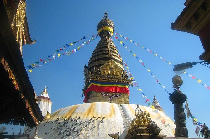 4-Night Nature Tour from Kathmandu - Transportation and Group Size