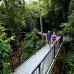 5-Day Best of Cairns with Daintree, Kuranda, and Great Barrier Reef - Why This Tour Offers Excellent Value