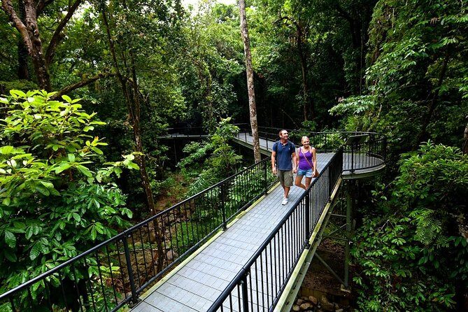 5-Day Best of Cairns with Daintree, Kuranda, and Great Barrier Reef - Why This Tour Offers Excellent Value