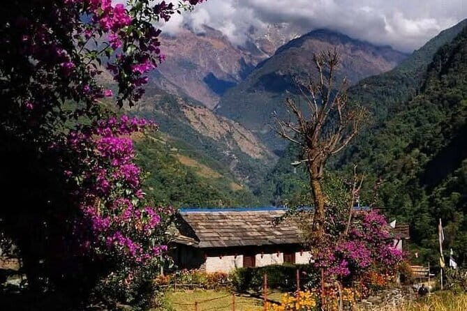 5 Day Easy Annapurna Base Camp Trek - The Experience of the Trek