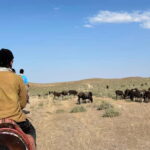 5-Day Horse Riding Tour in the Nuratau Mountains - FAQ