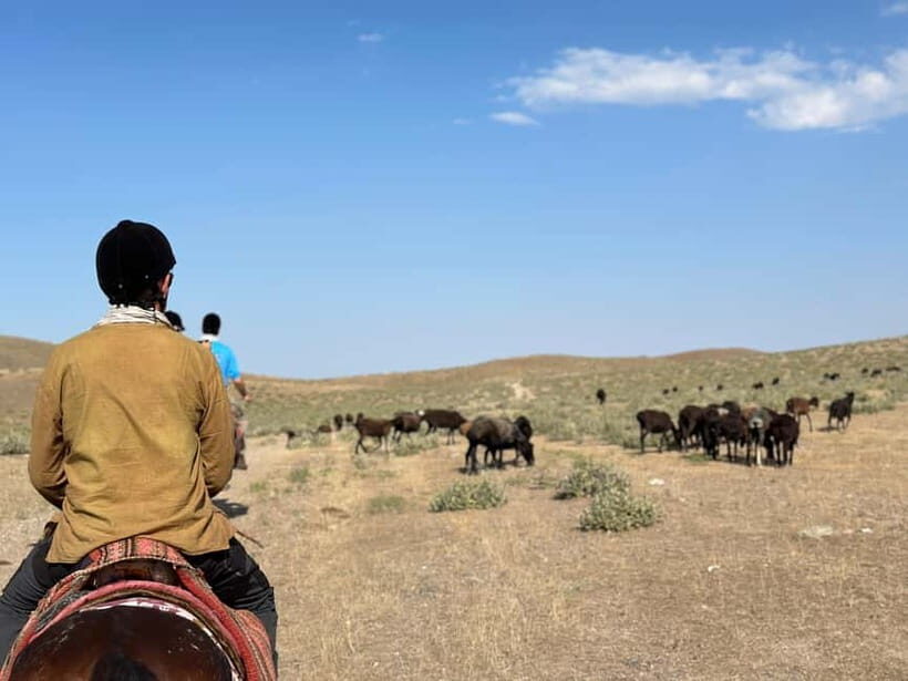 5-Day Horse Riding Tour in the Nuratau Mountains - FAQ