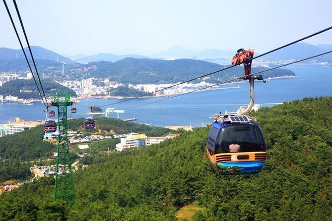 5 Day Private from Busan to Seoul,Gyeongju,Tongyeong, Boseong Green Tea Field - The Value of This Tour