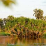 5 Day Top End Camping Tour - An In-Depth Look at the Itinerary