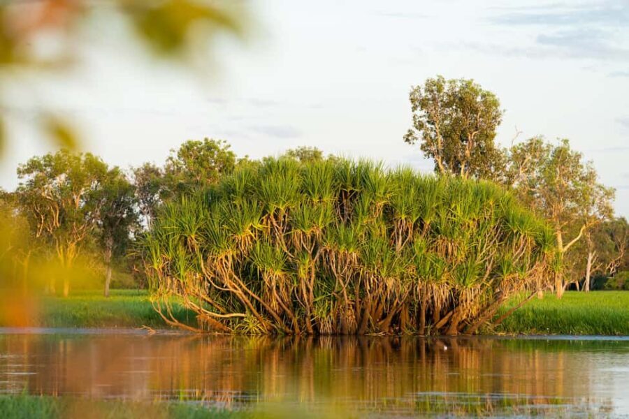 5 Day Top End Camping Tour - An In-Depth Look at the Itinerary