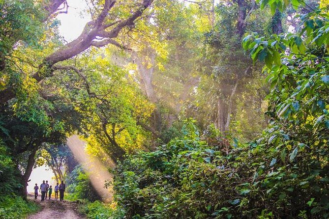 5 Days adventurous Chitwan and pleasing Pokhara Tour from Kathmandu - Who Is This Tour Best Suited For?