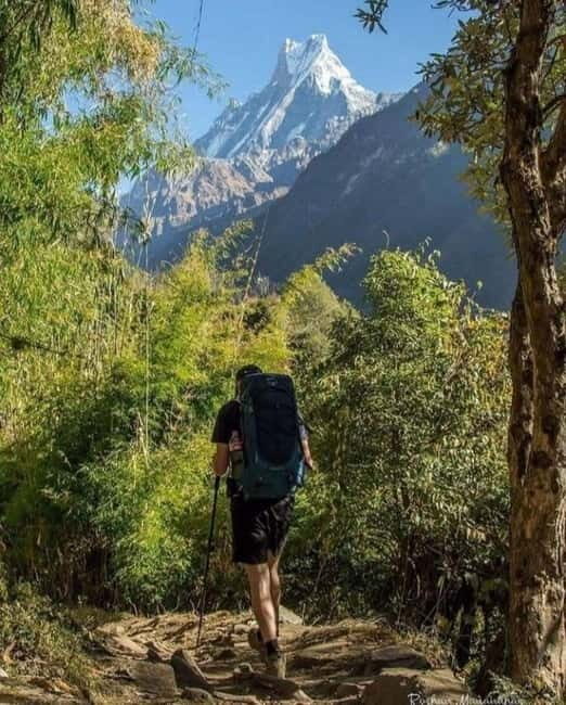 5 Days Annapurna Base Camp Trek - What to Expect During the Trek
