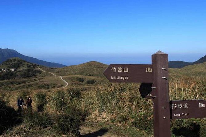 5-Hour Vegetarian Private Tour - Visit Yangmingshan and Taste Veggie Cuisine - Why This Tour Offers Good Value