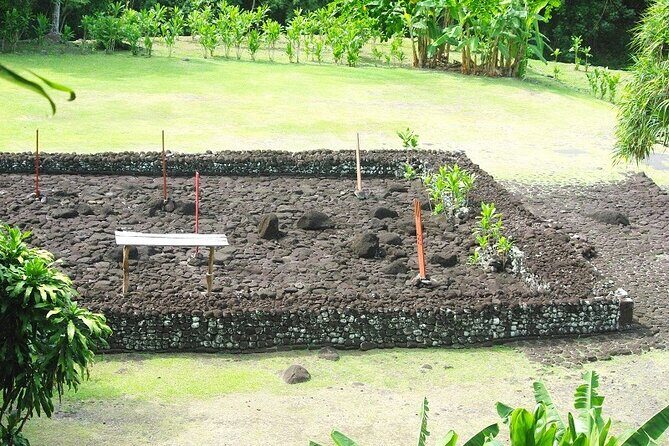 5 Hours Tahiti Island Tour - West and East Coast - Transportation and Comfort