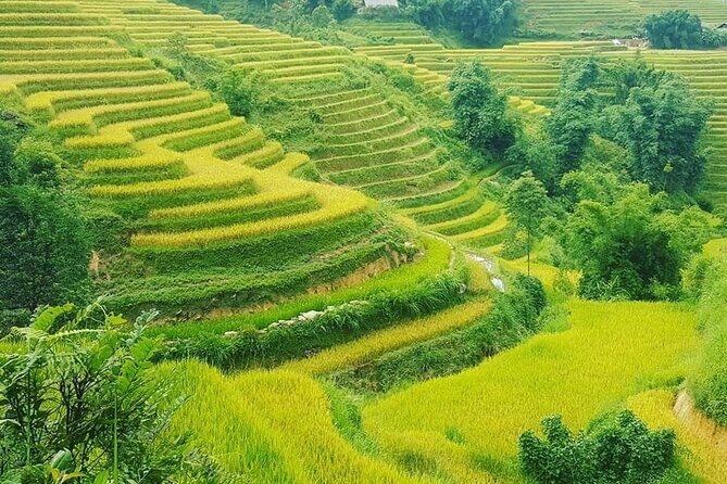 5 Hours Trekking with Terraced Rice Field in Sapa - Authenticity and Value