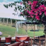 5 or 7 hour Far End of Waiheke Scenic Wine Tour in Electric Vans - Itinerary Breakdown: What to Expect at Each Stop