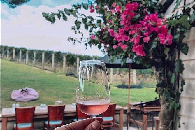 5 or 7 hour Far End of Waiheke Scenic Wine Tour in Electric Vans - Itinerary Breakdown: What to Expect at Each Stop