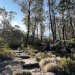 5G Australia eSIM - Up to 50GB or Unlimited Data; No Roaming Fees - Detailed Breakdown of What You Can Expect