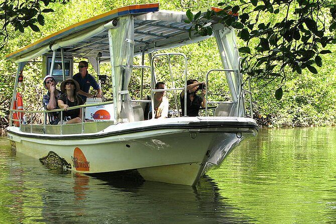 6-Day Best of Cairns Including the Great Barrier Reef, Kuranda and the Daintree Rainforest - Practical Details and What to Expect