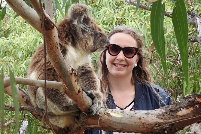 6-Day Eyre Peninsula & Flinders Ranges Adventure Tour - Is the Price Worth It?