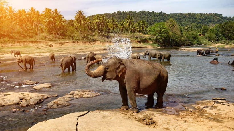 "6-Day Sri Lanka Escape: From Highlands to the Sea" - Analyzing the Value & Experience