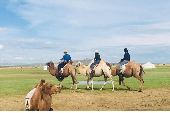 6 Days Private Tour in Gobi Desert - Who Will Love This Tour?