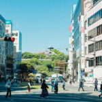 6-Hour Tour: Pick 2 Kumamoto Castle, Castle Town, Suizenji - What to Expect from the Tour